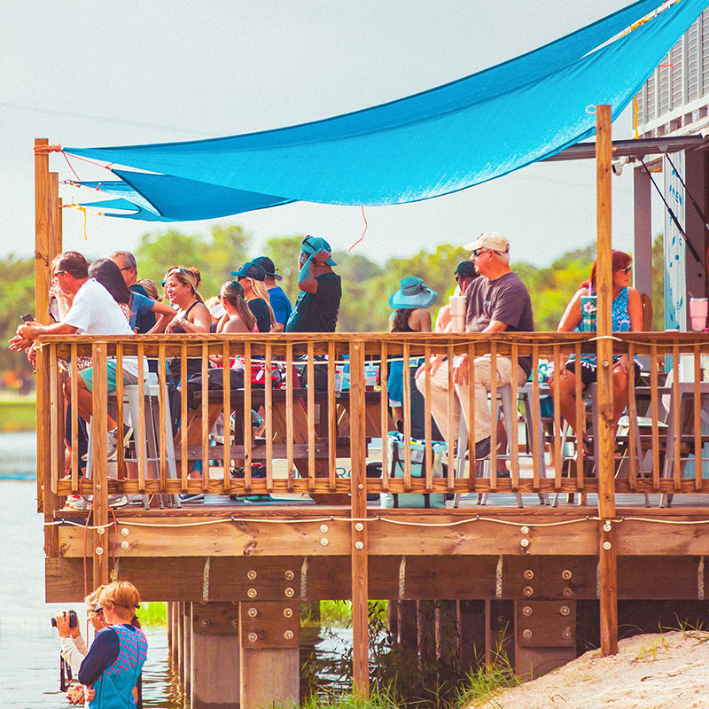 Shark Shack | Shark Park 561